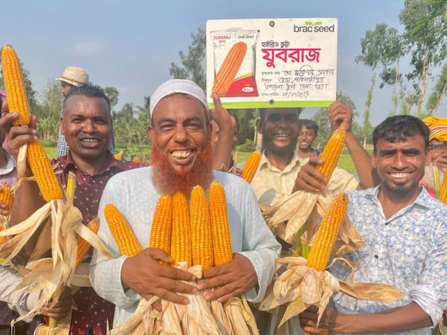 BRAC Seed